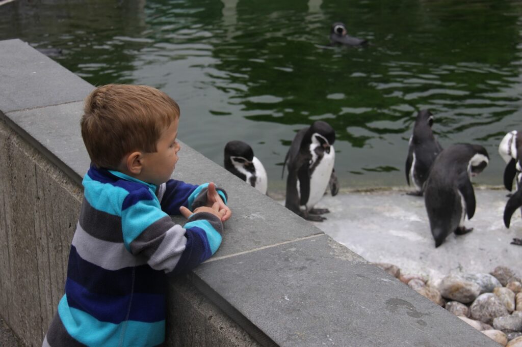 SofHi fördert den Ausflug in den Allwetter-Zoo – DRK SofHi